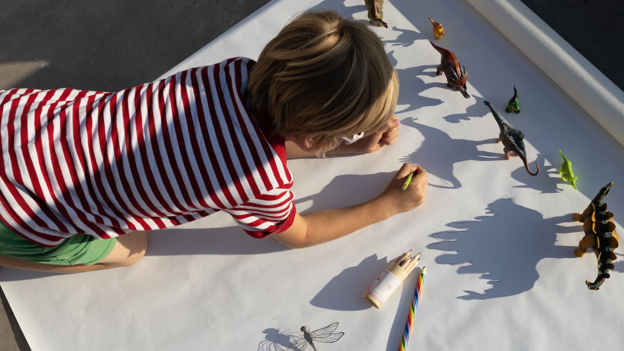 Practitioner Projects - Art In Early Childhood